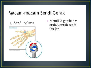 Rangka dan sendi | PPSX