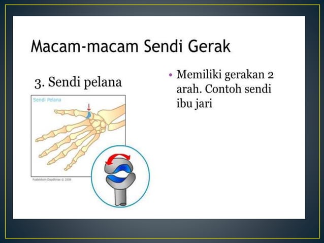 Rangka dan sendi | PPSX