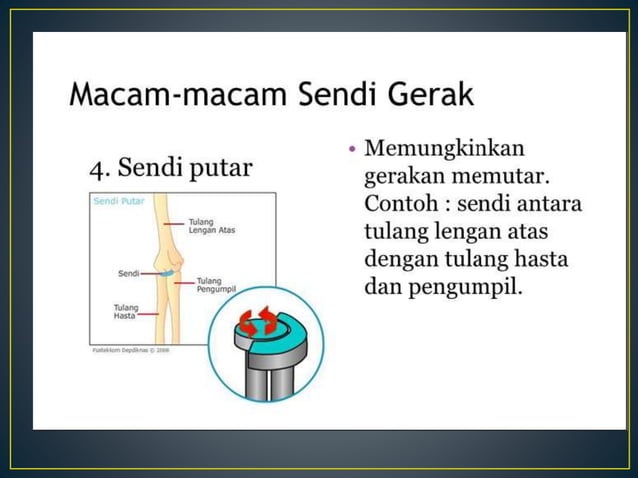 Rangka dan sendi | PPSX