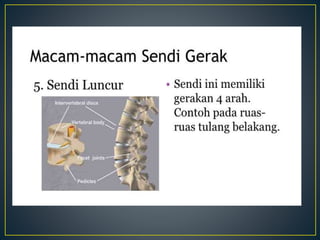 Rangka dan sendi | PPSX