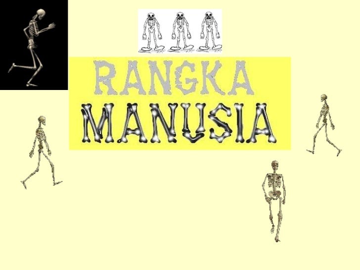 Gambar Rangka Manusia Tanpa Keterangan