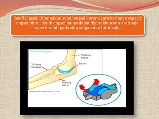 Pelajaran kelas 6 tentang rangka dan sendi | PPTX