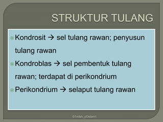 Rangka & persendian | PPT
