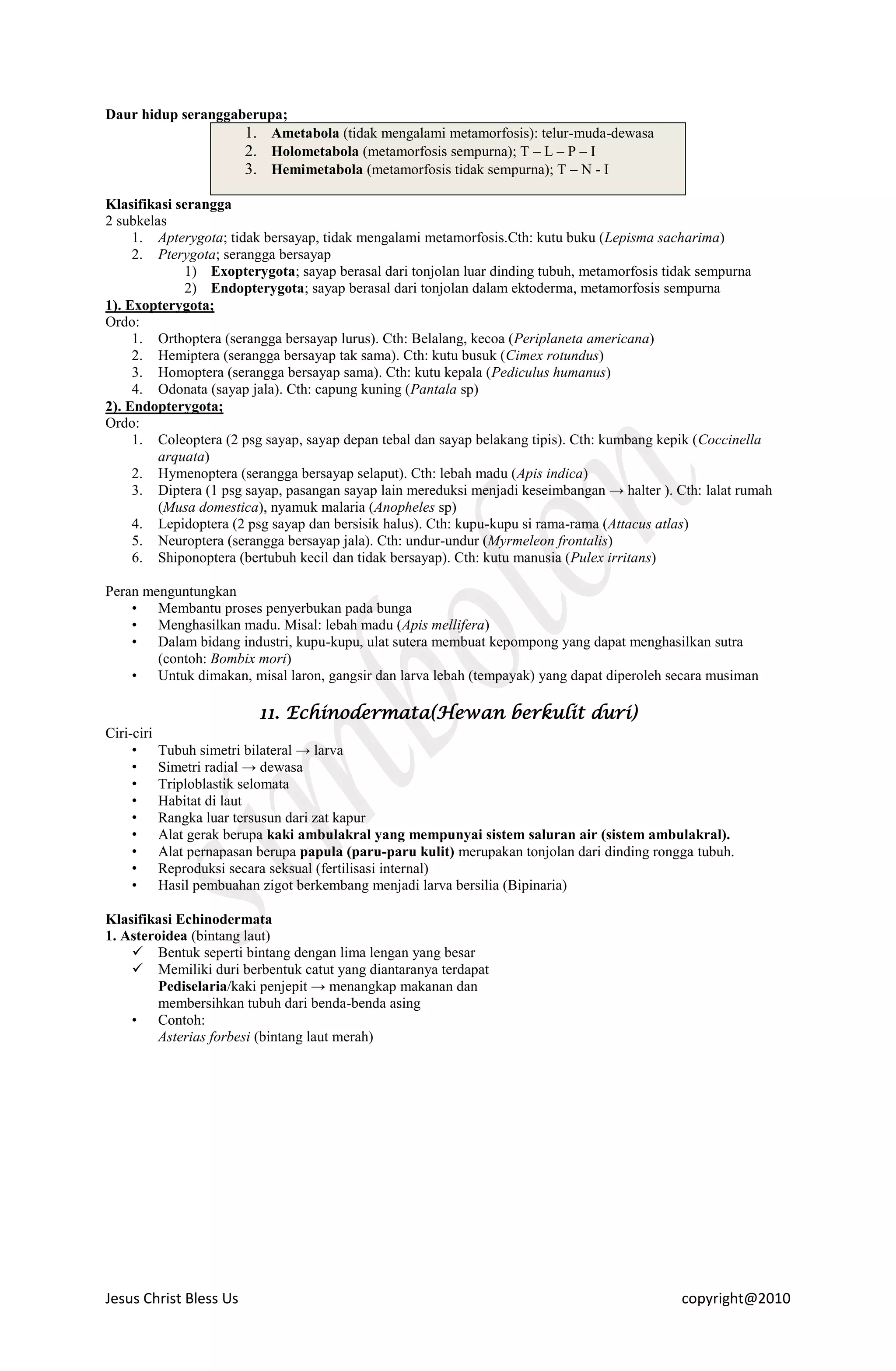 MATERI ANIMALIA | DOCX