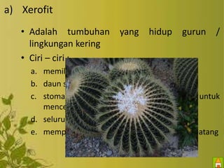 KELANGSUNGAN MAKHLUK HIDUP | PPT