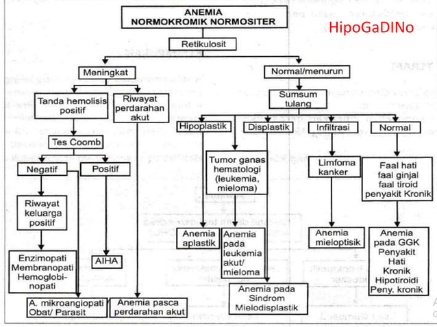 Rangkuman Hemato onkologi medicine. pptx | PPT