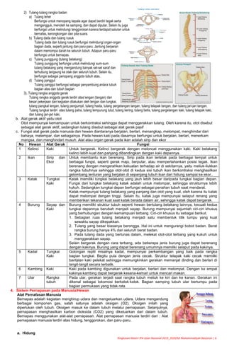 Rangkuman IPA 2020_SD Muhammadiyah Banjaran | PDF