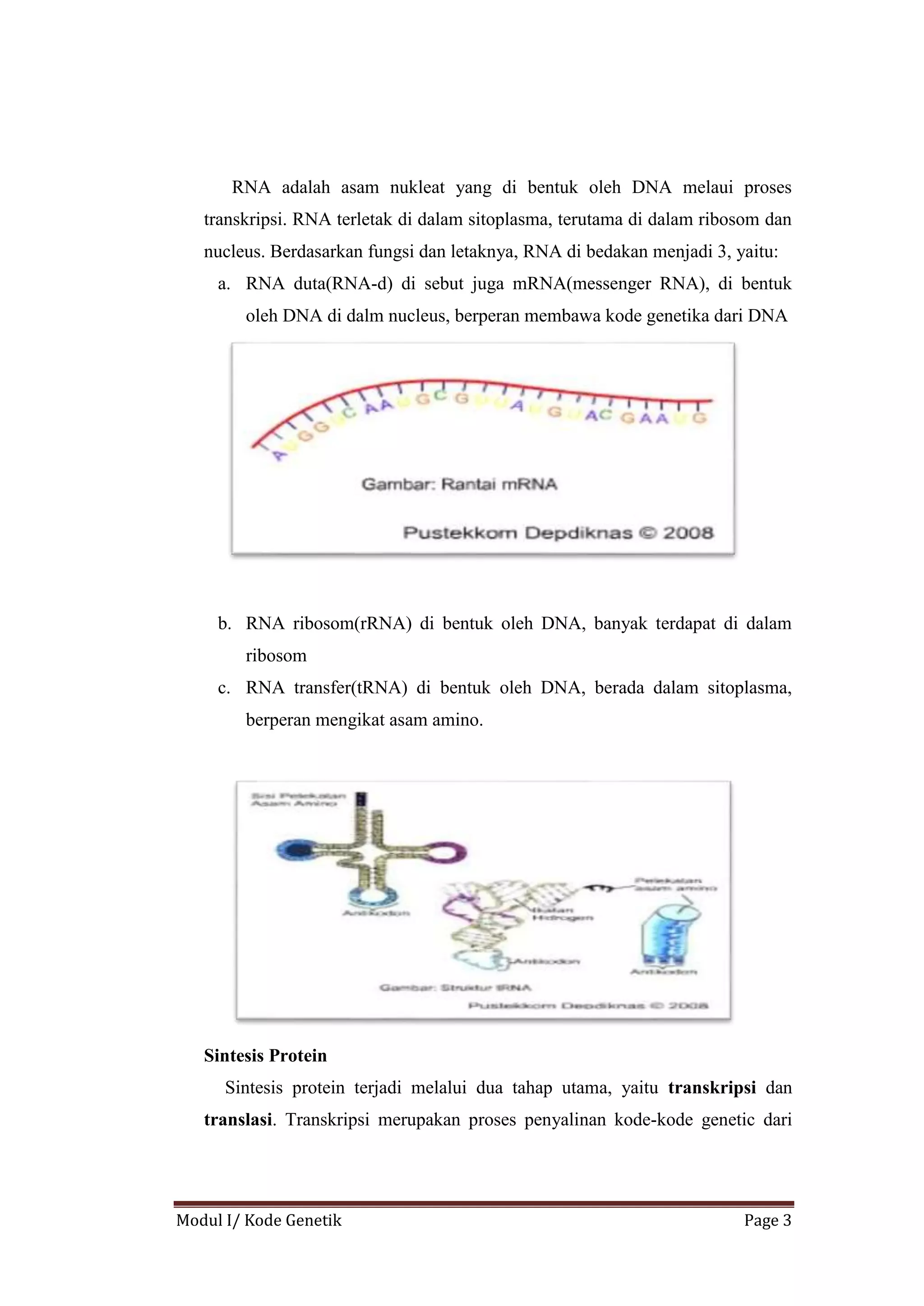 rangkuman kode genetik 2.docx