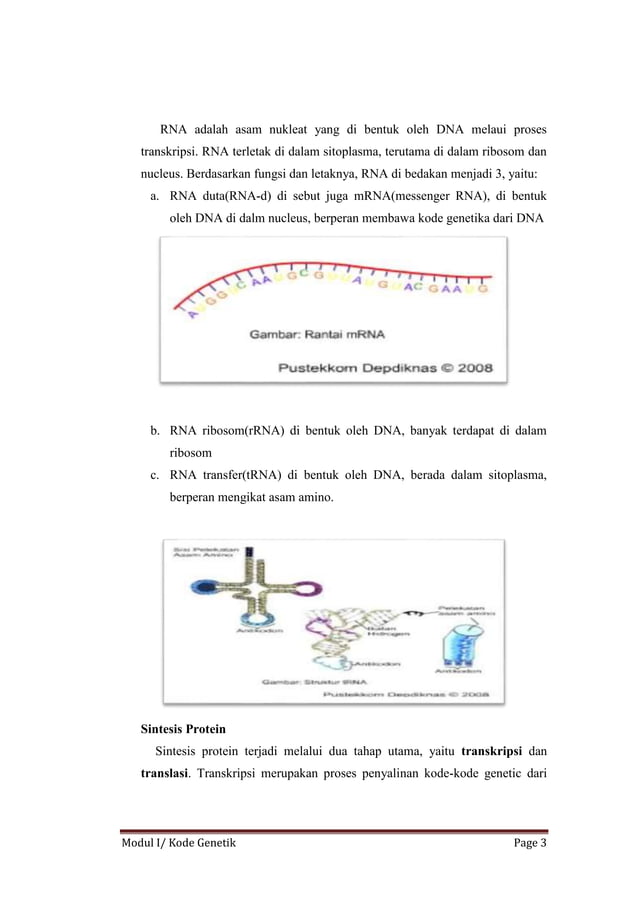 rangkuman kode genetik 2.docx
