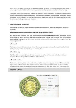 Rangkuman morfologi tumbuhan | PDF