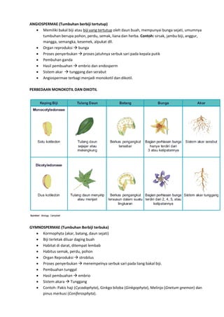 Rangkuman morfologi tumbuhan | PDF