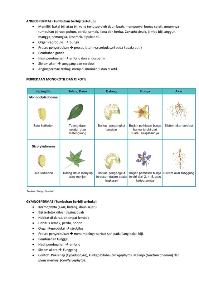 Rangkuman morfologi tumbuhan | PDF