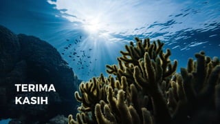 POWER POINT MATERI KIMBAL SOFT CORAL SEA | PPTX