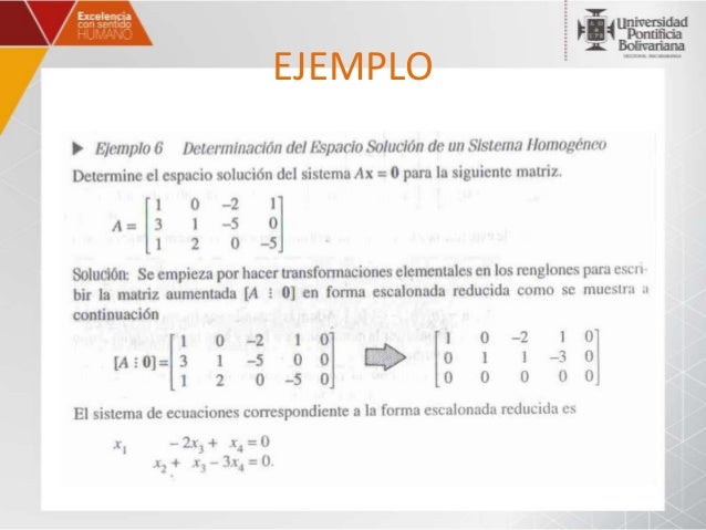 Rango y nulidad de una matriz