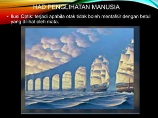 Rangsangan dan gerak balas | PPT