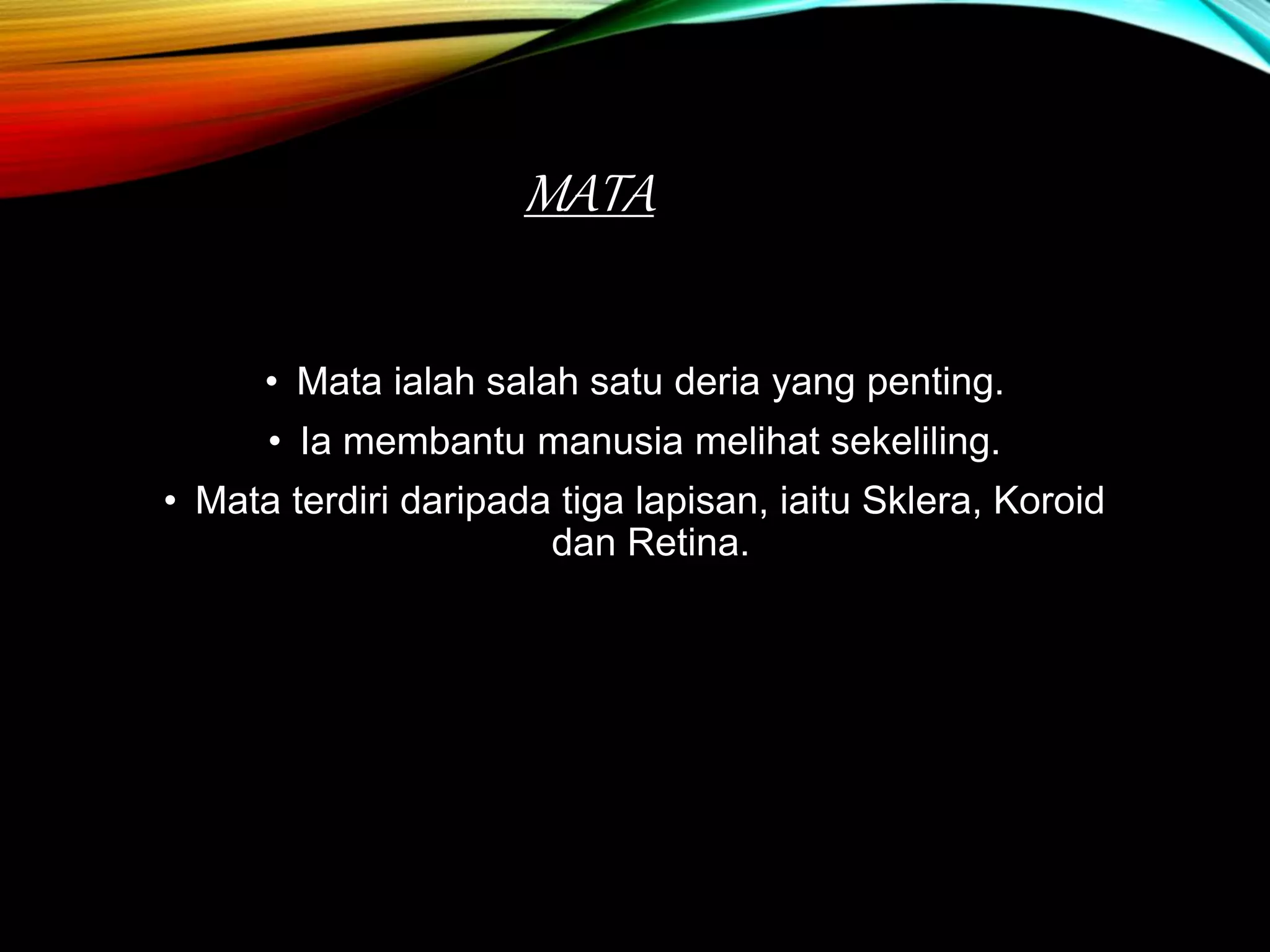 Rangsangan & gerak balas | PPTX