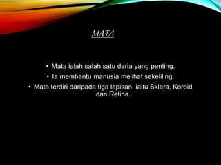 Rangsangan & gerak balas | PPTX