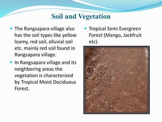 Rangsapara cleanest village of assam | PPTX