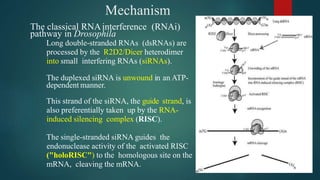 RANi (RNA interference) | PPT