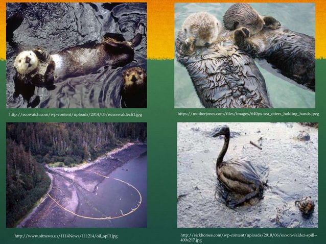 exxon valdez oil spill | PPTX