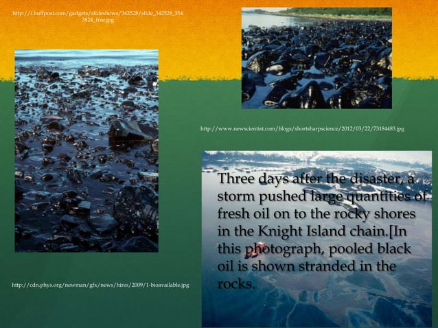 exxon valdez oil spill | PPTX