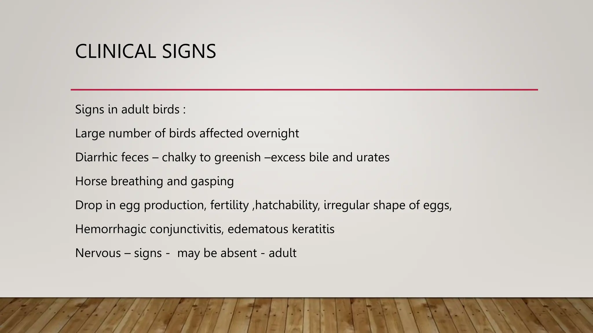 Ranikhet Disease- a viral poultry disease | PPTX