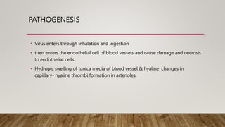 Ranikhet Disease- a viral poultry disease | PPTX