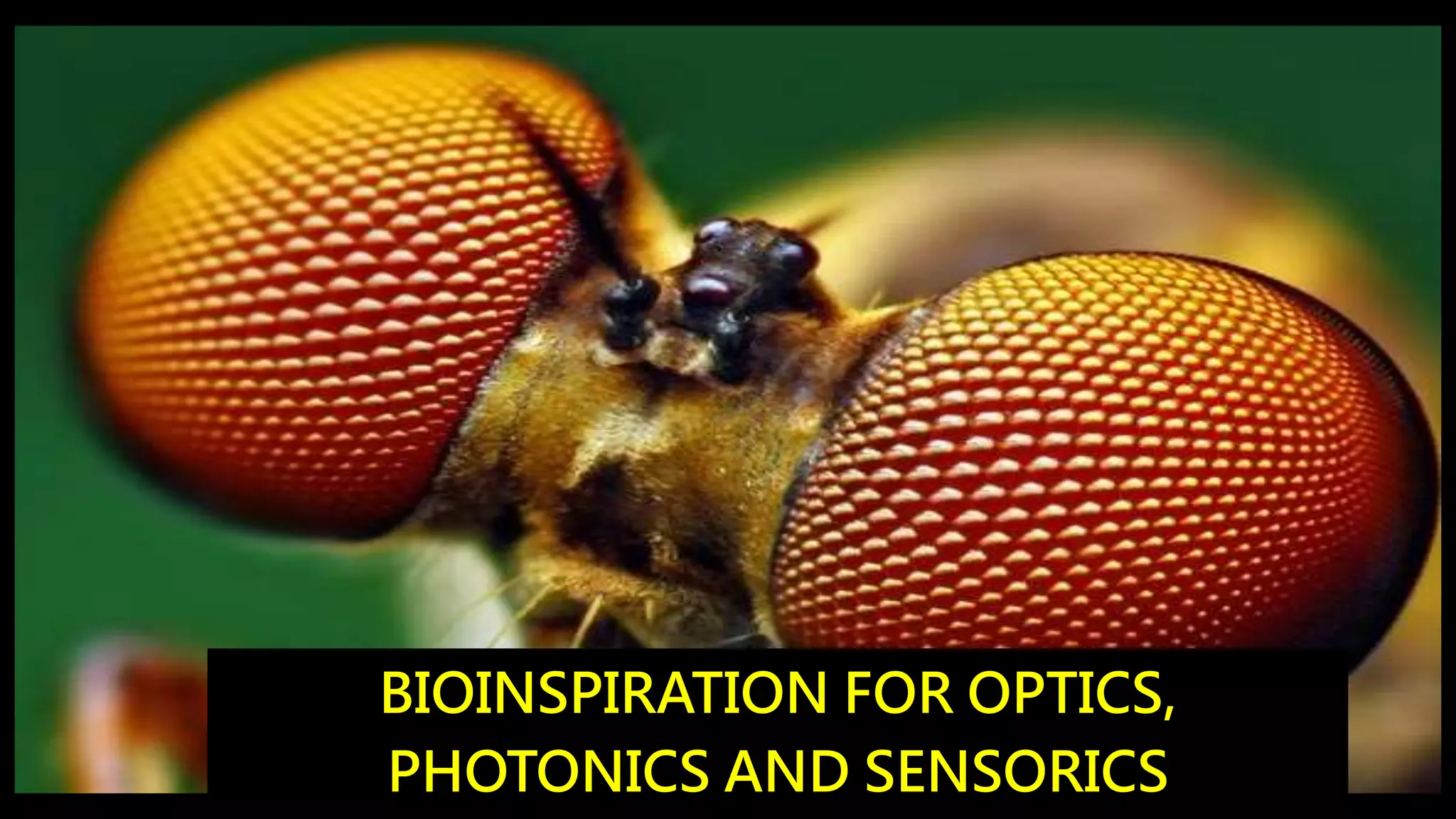 BIOINSPIRATIONS FOR OPTICS, SENSORS AND PHOTONICS | PPTX