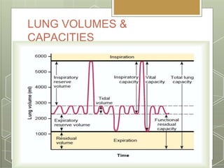 Aging changes in respiratory system.pptx