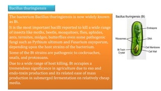 Ranjeet Kumar _Study of biopesticides.pptx