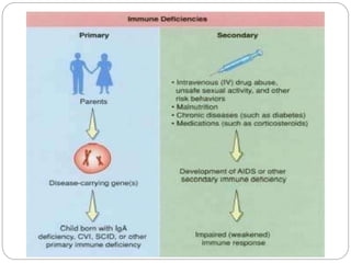 Immunodeficiency | PPT