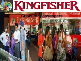 kingfisher project by ranjith | PPT