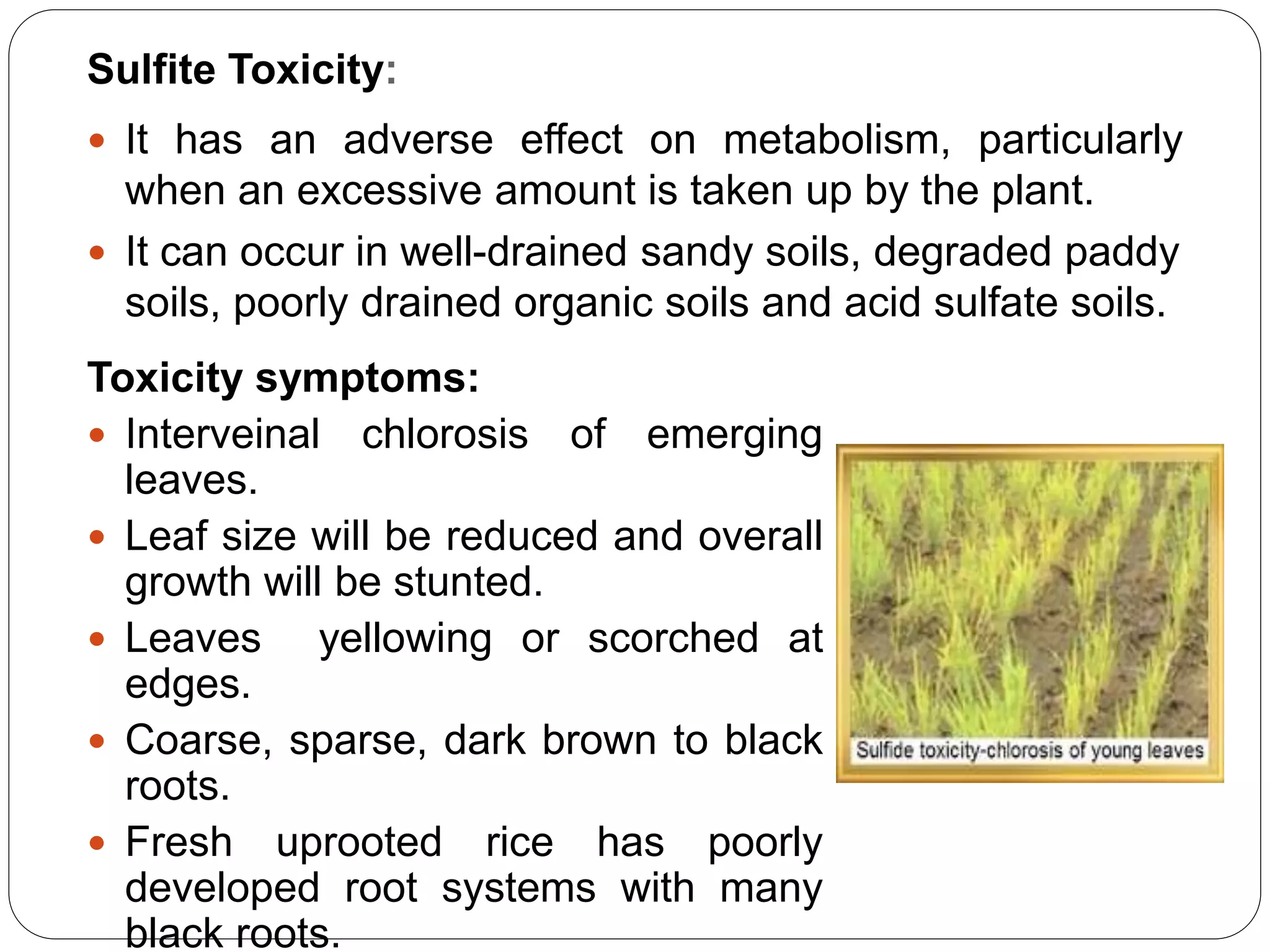 toxicity causes, effect and management | PPTX