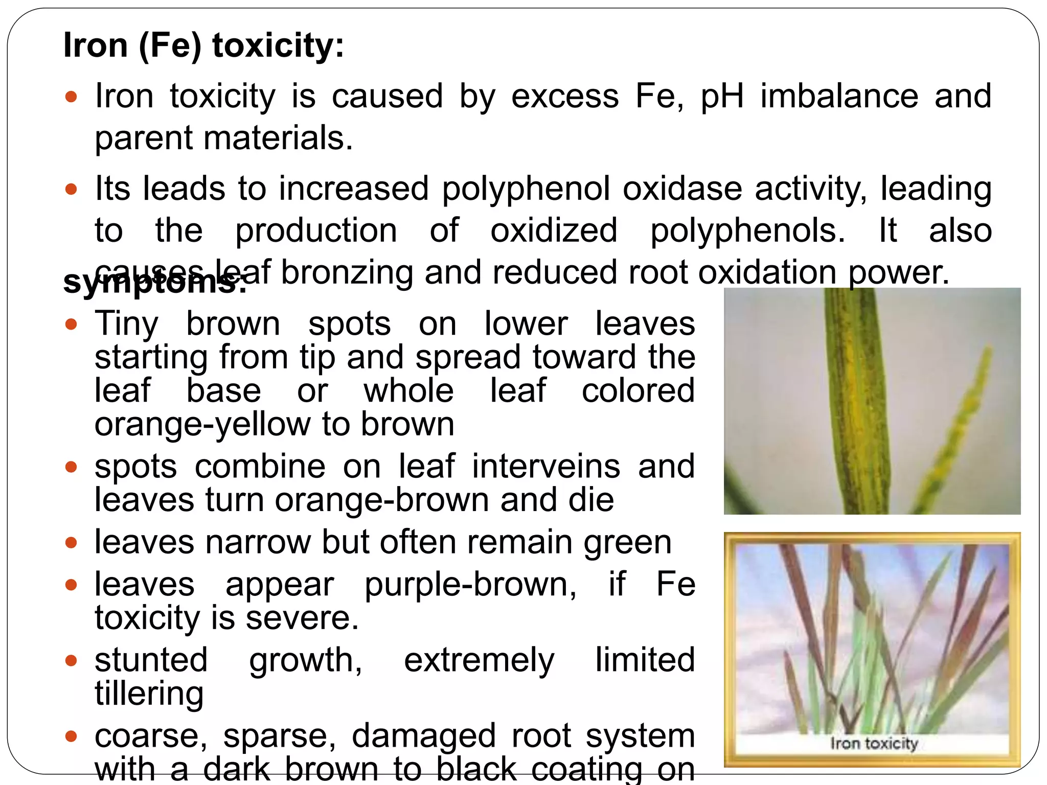 toxicity causes, effect and management | PPTX