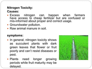 toxicity causes, effect and management | PPTX