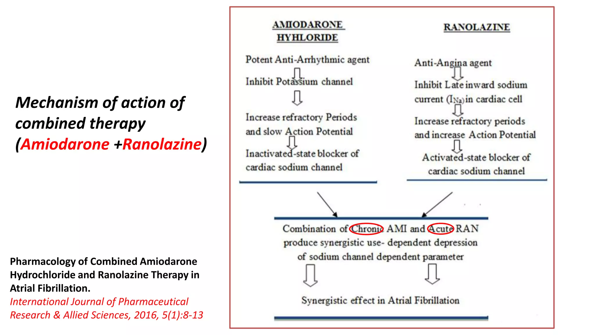 Drug Treatment of Chronic Coronary Syndrome: Focus Issue on Ranolazine ...