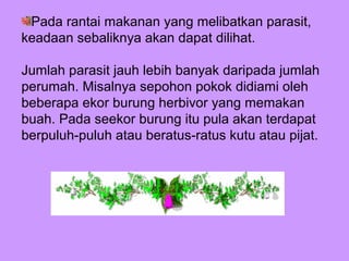 Rantai siratan-makanan | PPT