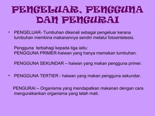 Rantai siratan-makanan | PPT