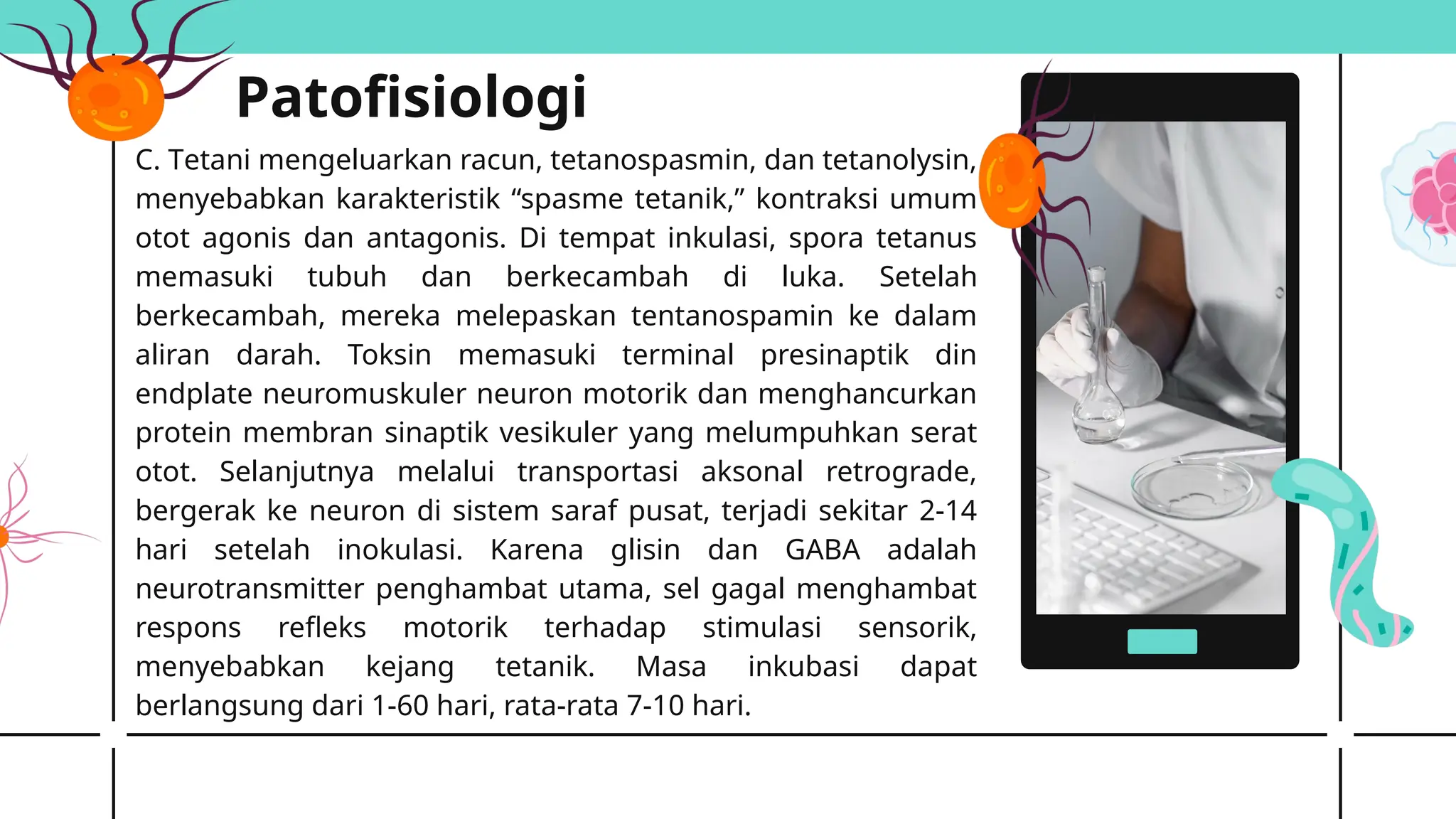 Rantai Infeksi Agen bakteri Clostridium Tetani.pptx