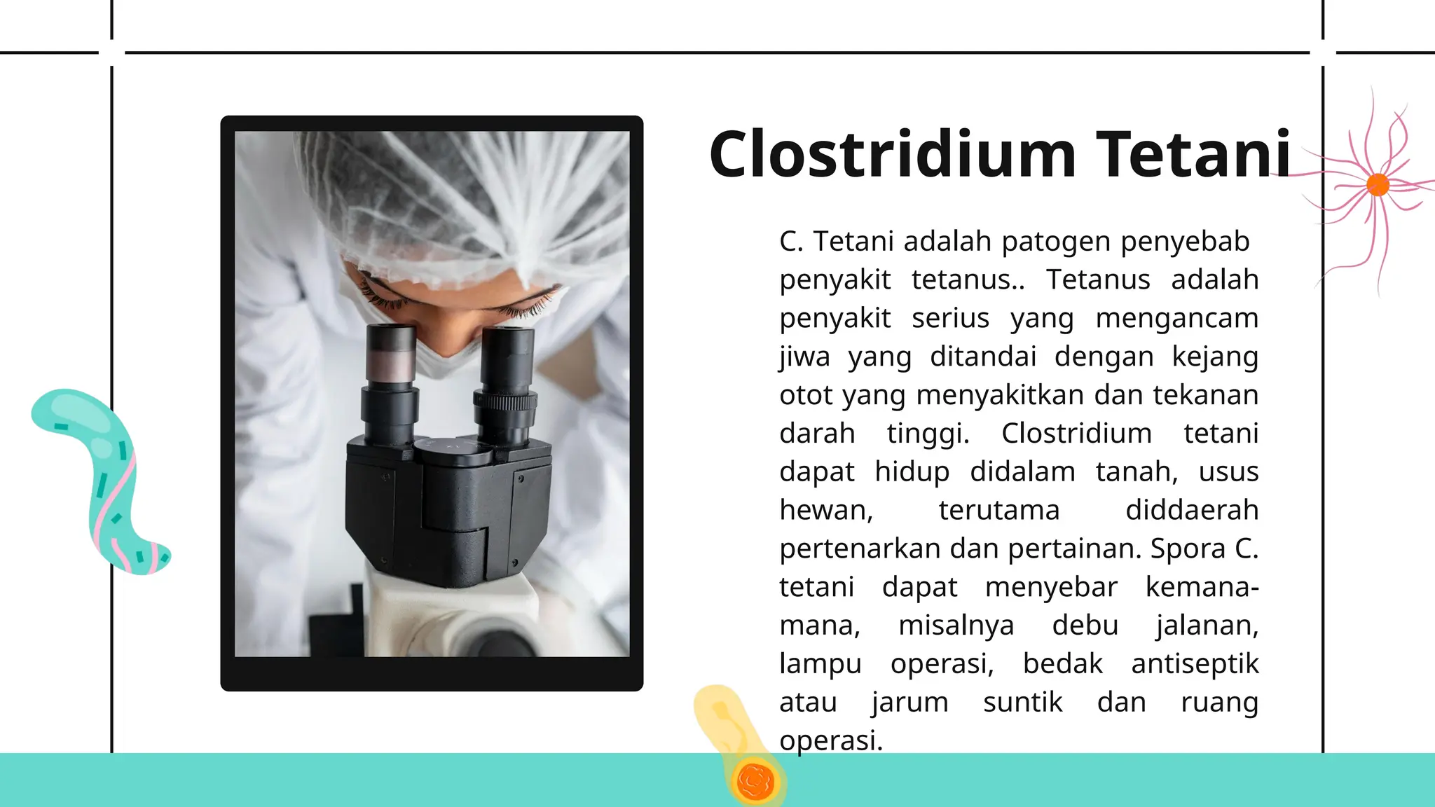 Rantai Infeksi Agen bakteri Clostridium Tetani.pptx