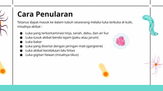 Rantai Infeksi Agen bakteri Clostridium Tetani.pptx