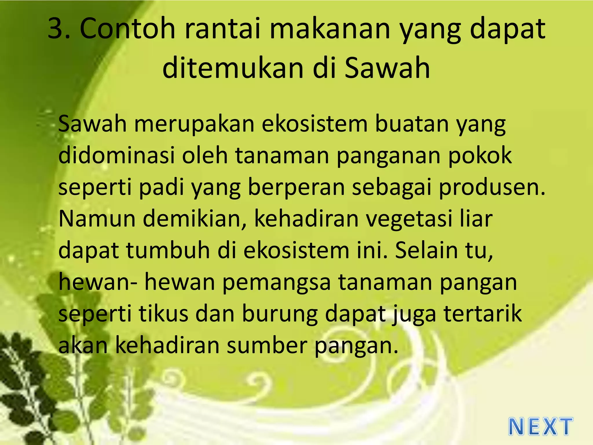 Rantai makanan | PPTX