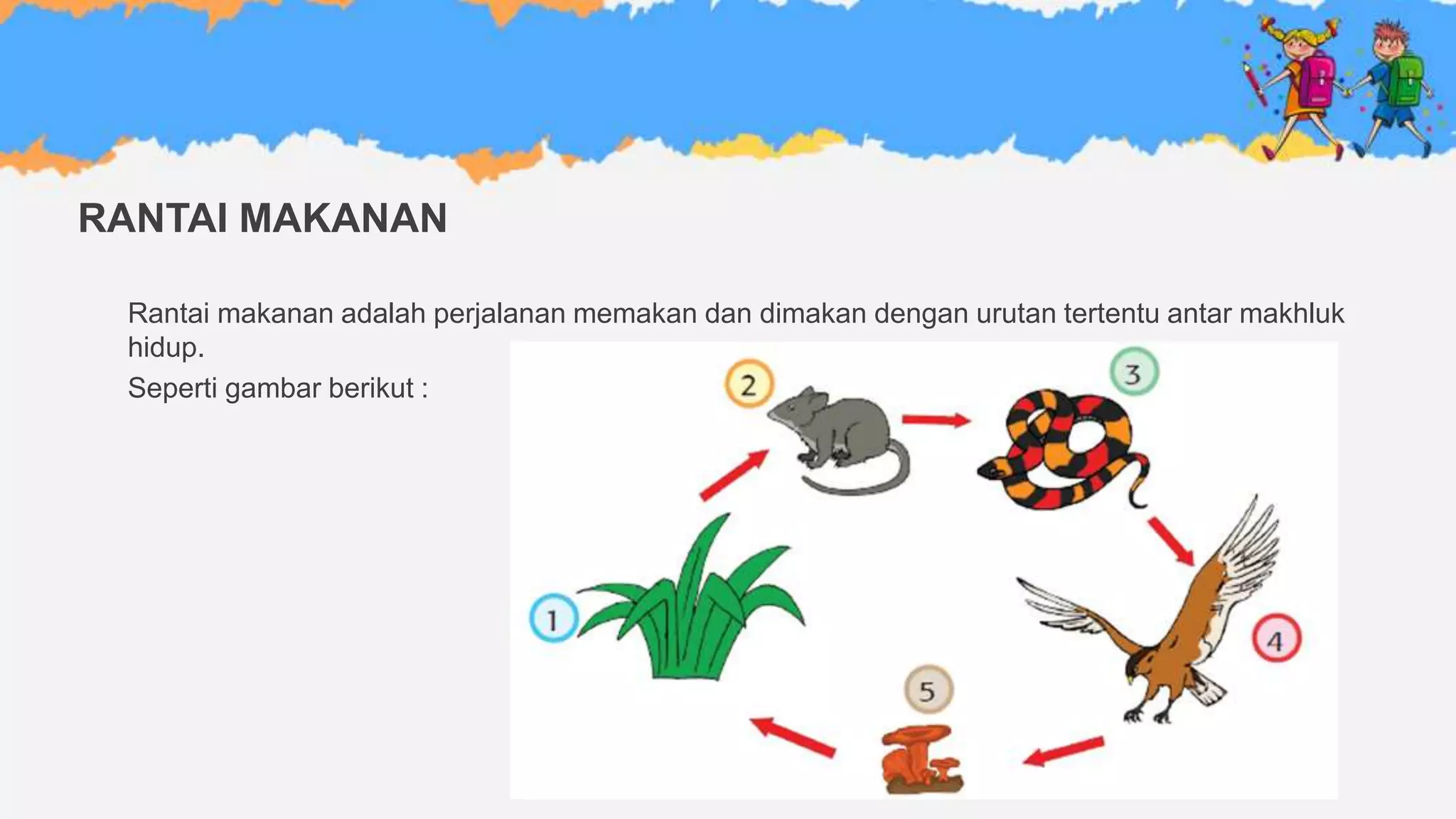 Rantai makanan | PPTX