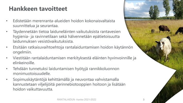 Rantalaidun: Merenrantalaidunnusta luonnon ja ihmisten hyväksi, Marika ...