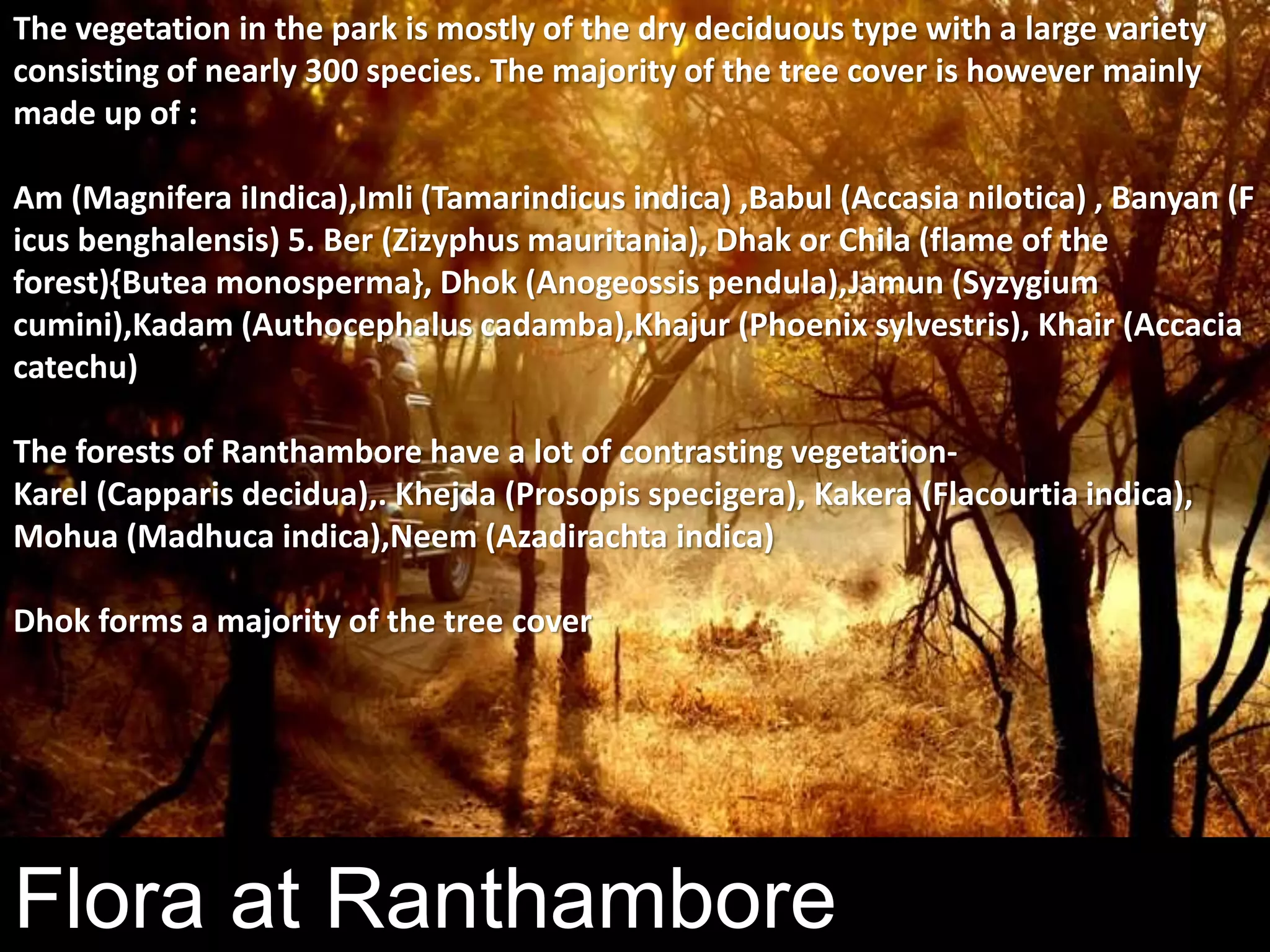 Ranthambore national park | PPTX