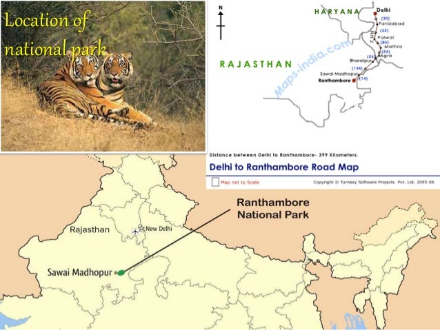 Ranthambore national park