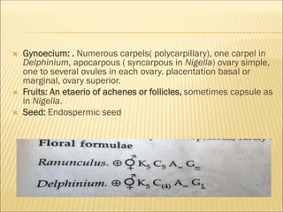 Ranunculaceae | PDF