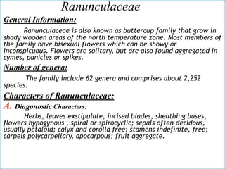 Ranunculaceae | PDF