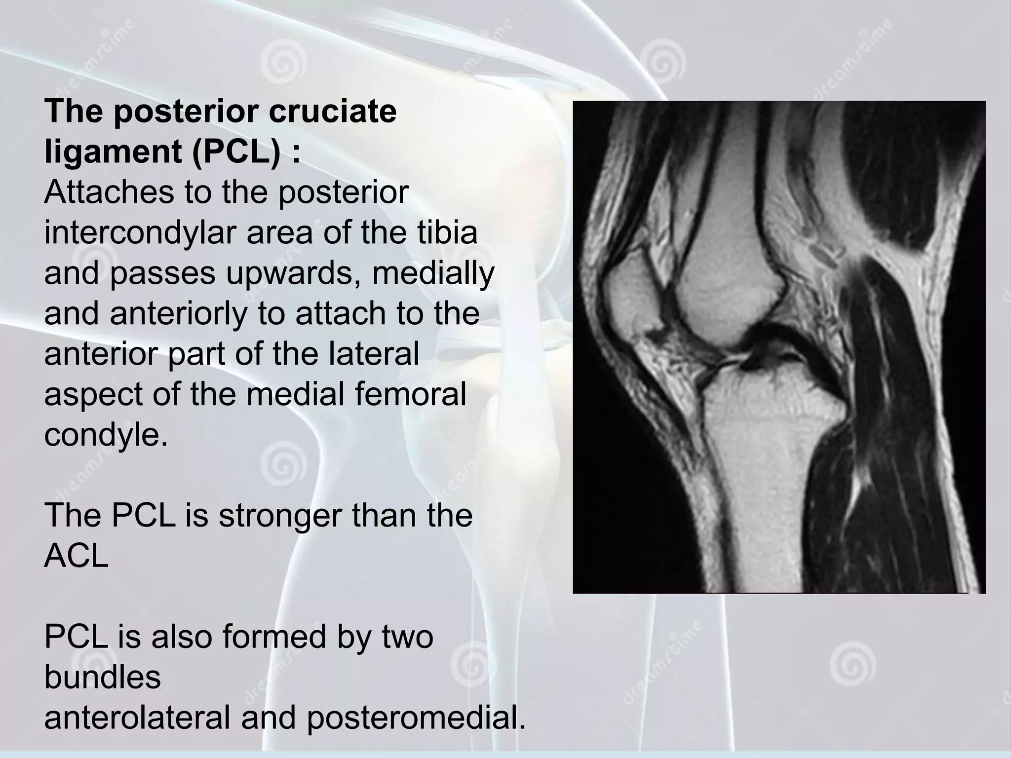 Radiological anatomy of Knee joint.pptx