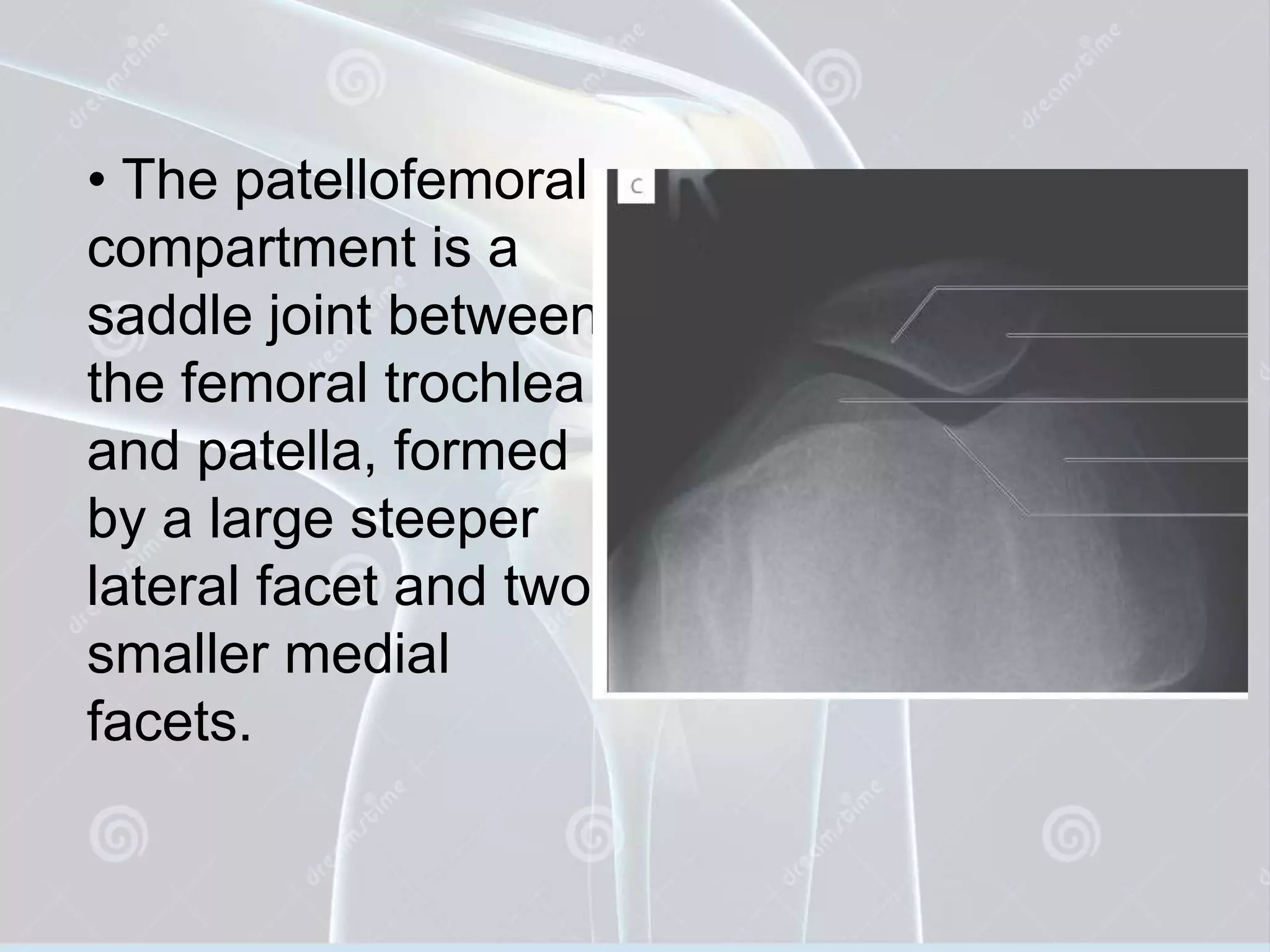 Radiological anatomy of Knee joint.pptx